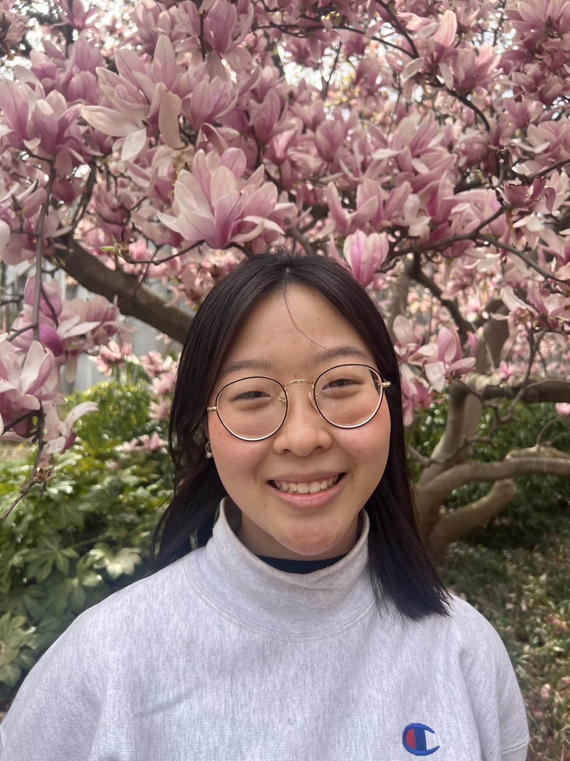 Maggie Wang – Baltimore SCIART – UMBC